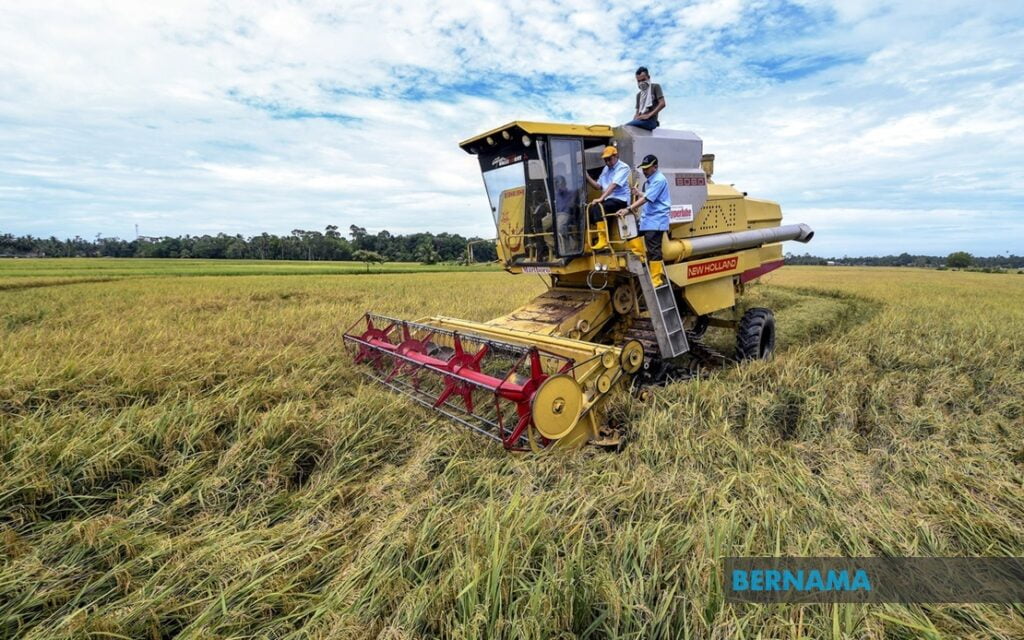 Kalendar Penuaian Padi Sawah Yang Berbeza-Beza Mengikut Negeri