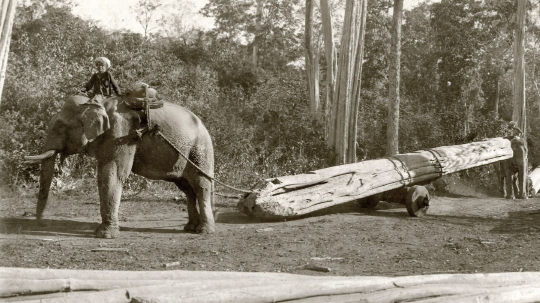 Kisah Syarikat Himalaya Yang Bermula Daripada Gadaian Gelang